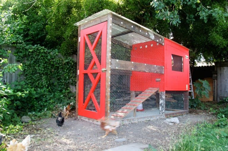 Amazing Chicken Coops - I Am Homesteader