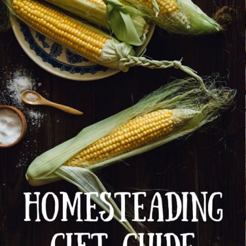 Homestead Archives - I Am Homesteader