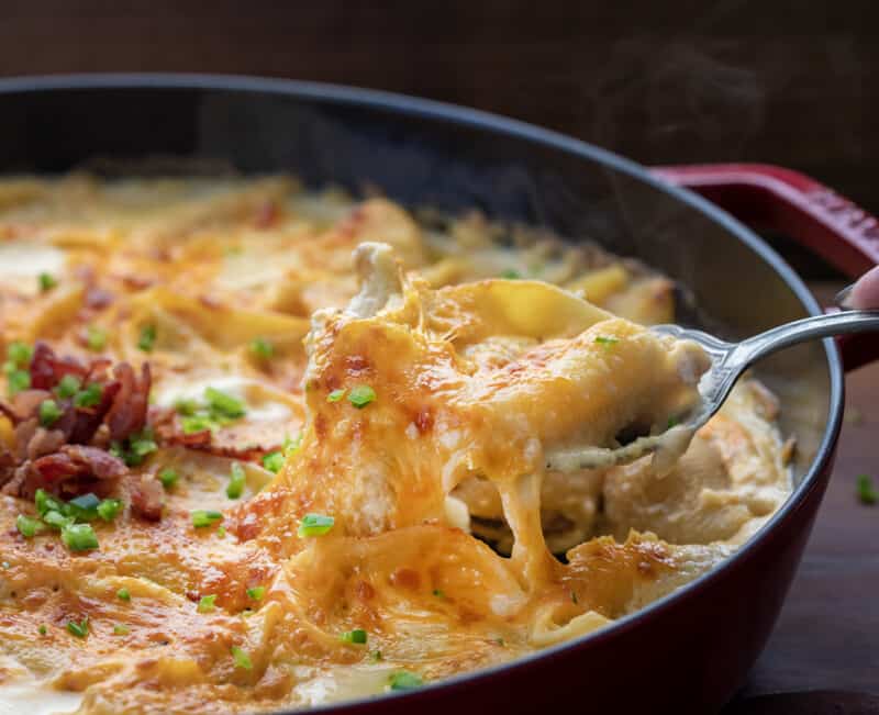 Jalapeno Popper Stuffed Shells - I Am Homesteader