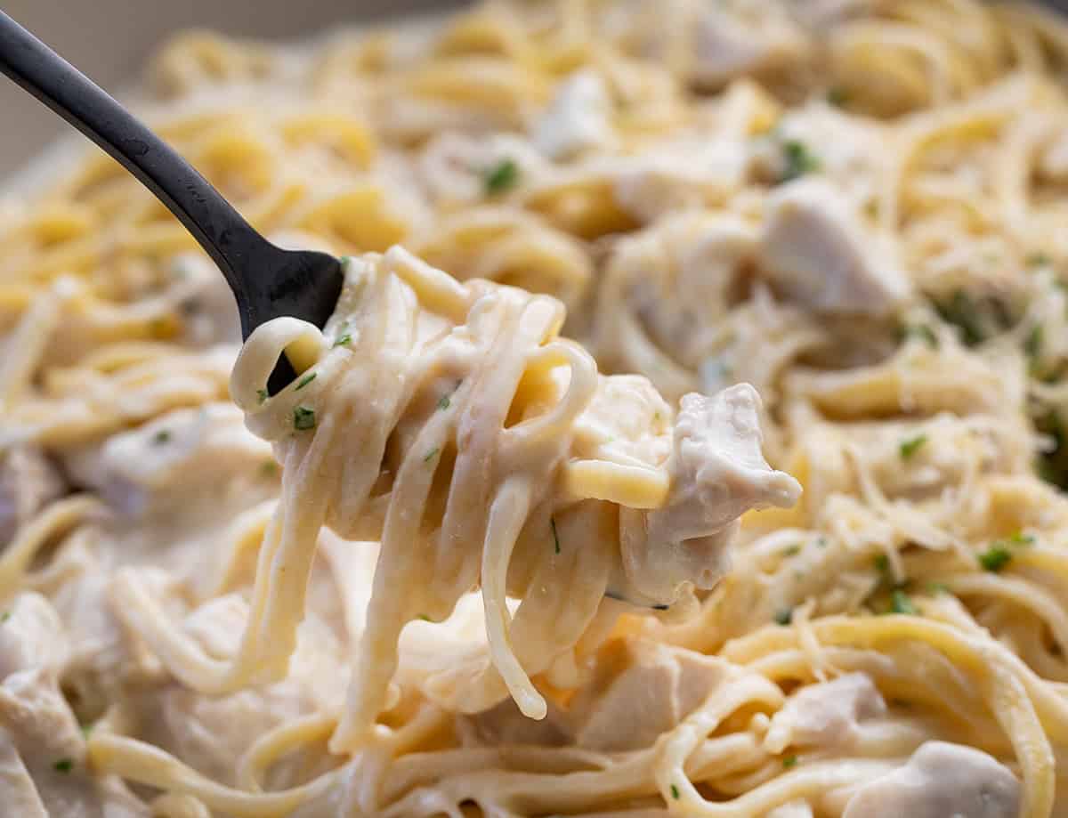 Creamy Chicken Pasta Recipe - I Am Homesteader