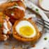 Fried Buffalo Eggs - I Am Homesteader