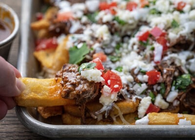 Loaded Shredded Beef {Birria} French Fries - I Am Homesteader