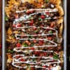 Birria Nachos - I Am Homesteader