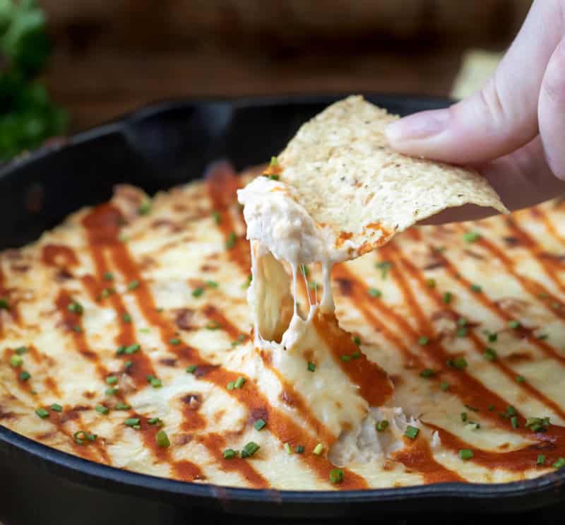 Bang Bang Chicken Dip - I Am Homesteader